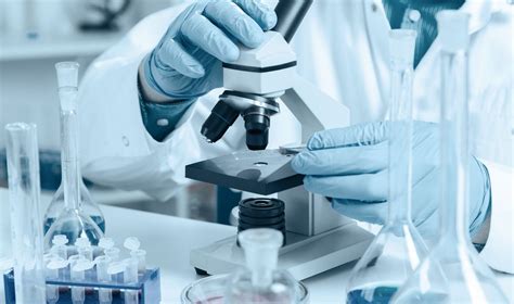 BridgeBio Oncology Therapeutics: Pioneering New Frontiers in Cancer ...
